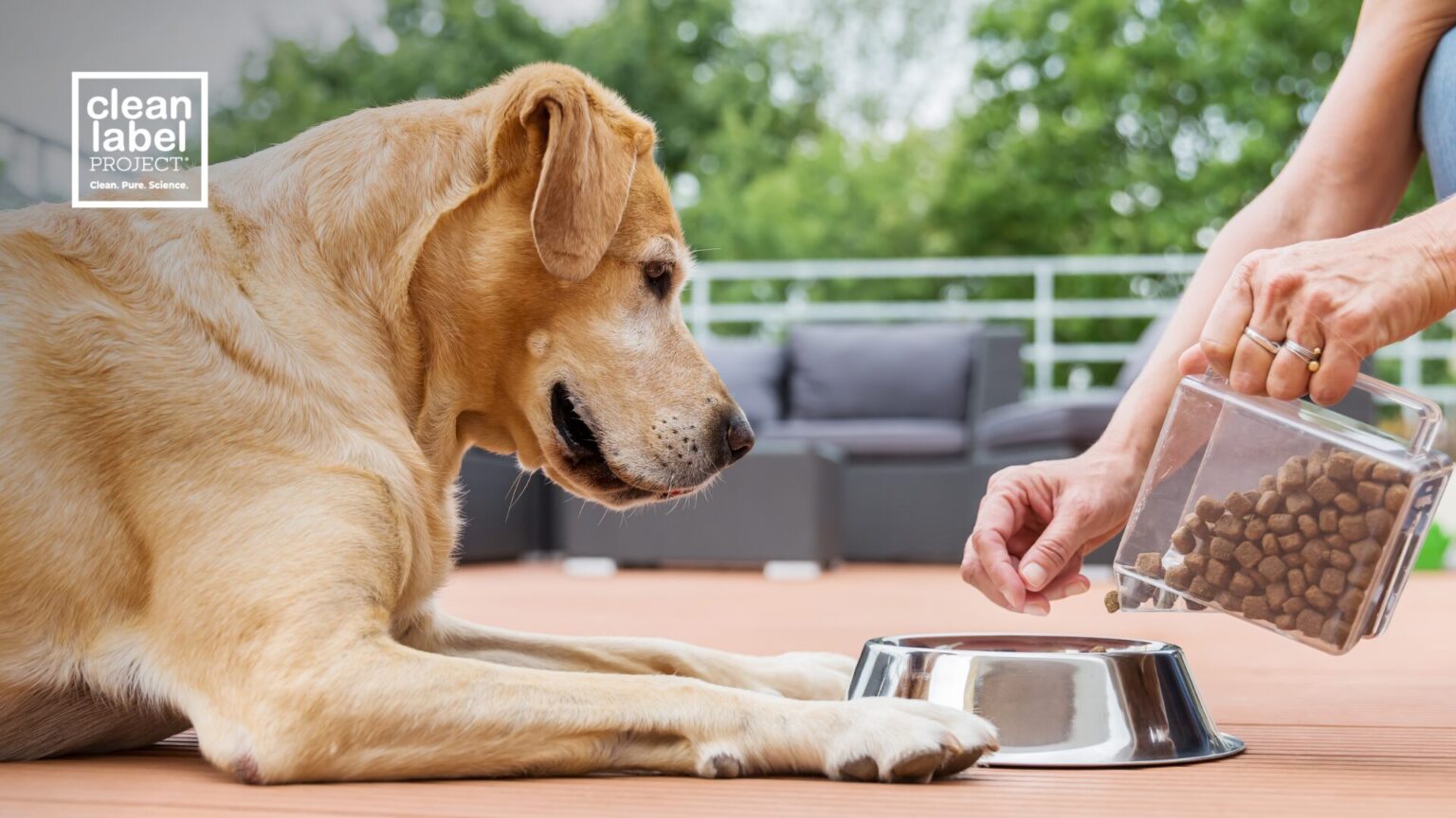 Extremely High Levels of Hard Metals Found in Dog Food - Clean Label ...