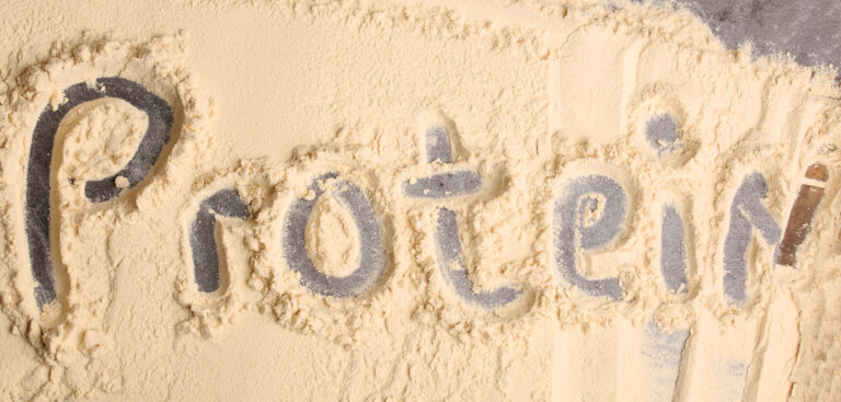 Protein Study 2.0 - Clean Label Project